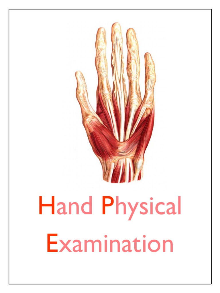 HAND Examination | PDF | Hand | Thumb