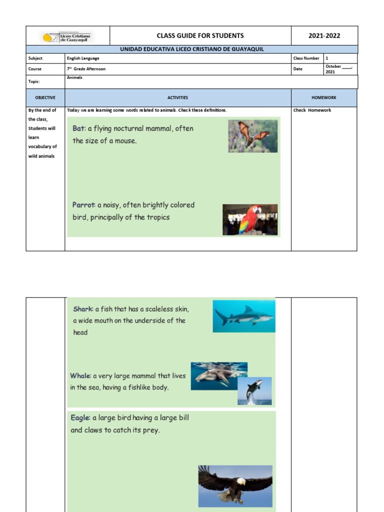 Guía de Inglés para 7mo Grado | PDF