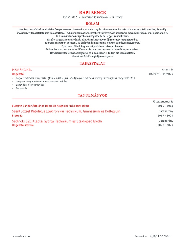 Rapi Bence Resume | PDF