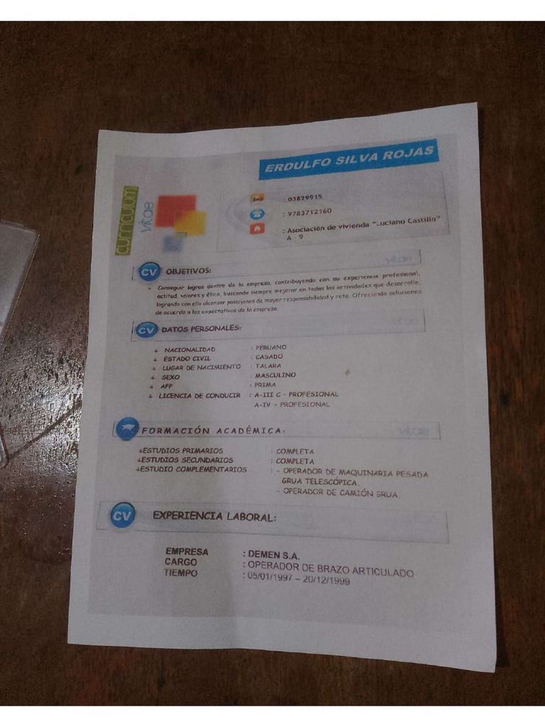 Cv Silva Rojas | PDF