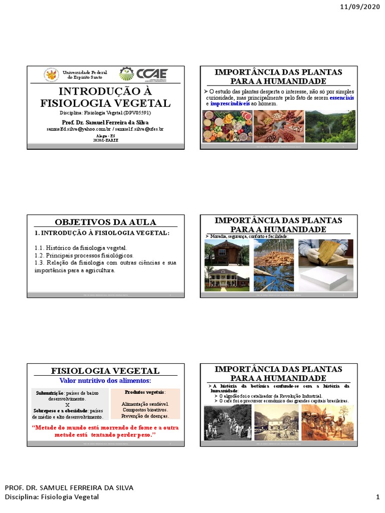 Aula 1 - Introdução À Fisiologia Vegetal | PDF | Plantas | Botânica