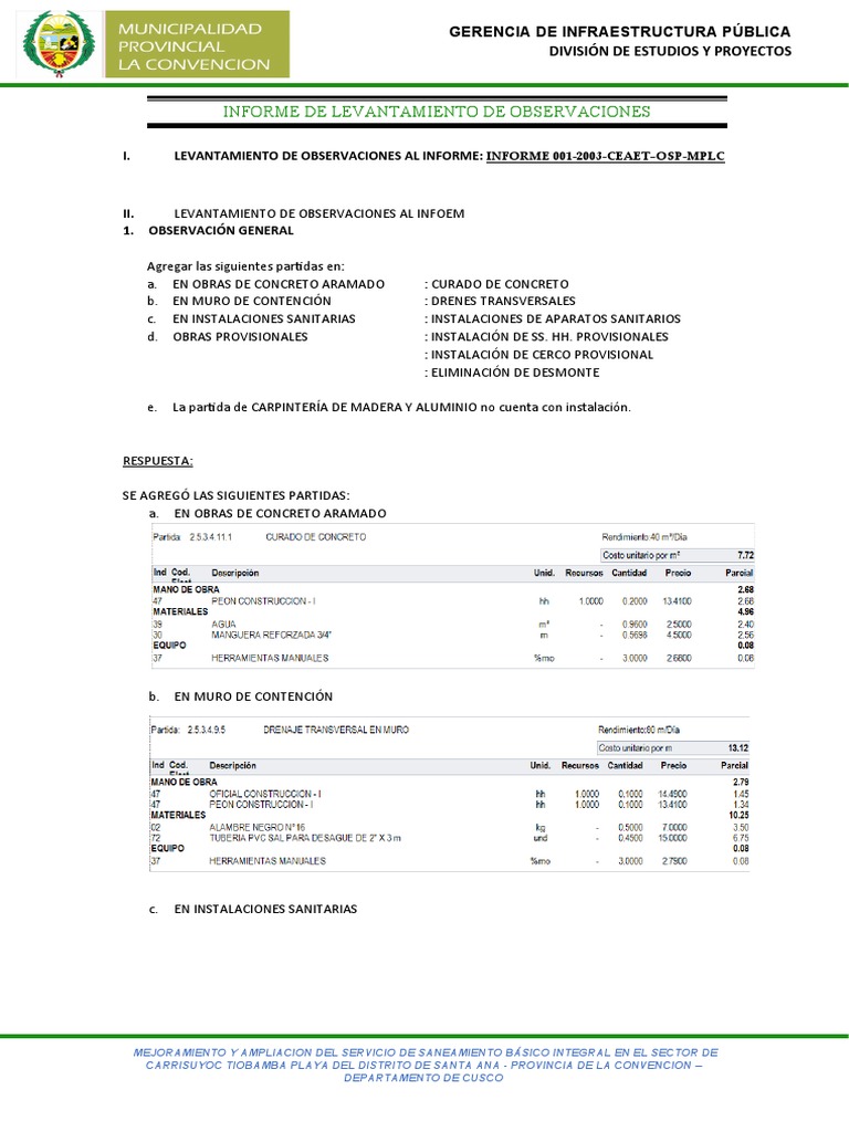 Informe Levantamiento de Observaciones SEGURIDAD CIUDADANA | PDF