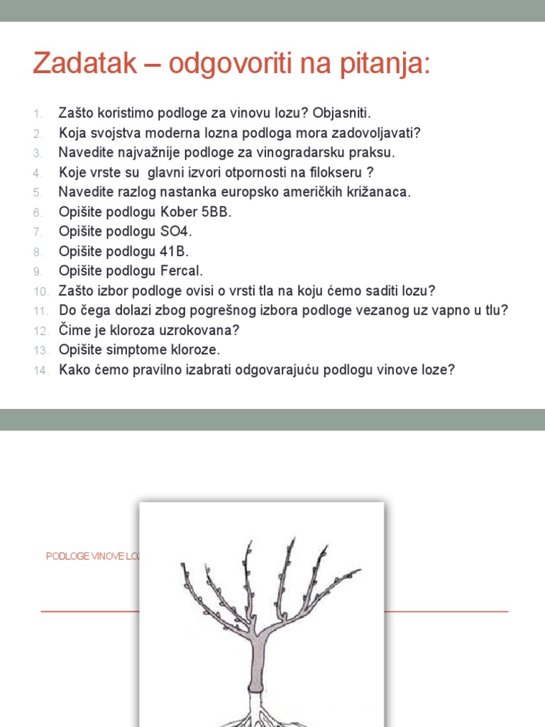 Podloge Vinove Loze | PDF