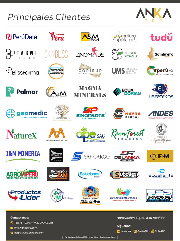 Principales Clientes - ANKA ERP | PDF