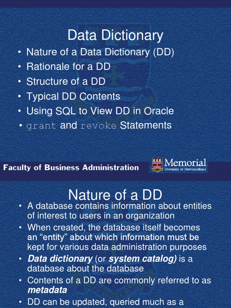 12 Data Dictionary Pdf Oracle Database Databases