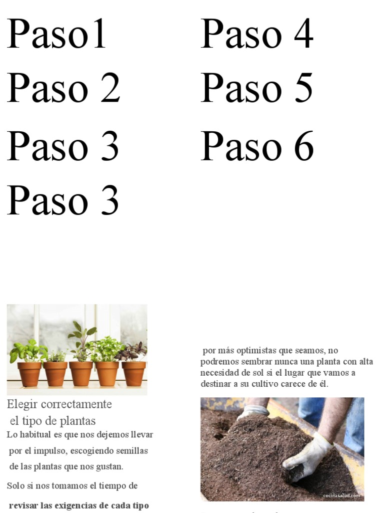 Paso1 Paso 2 Pdf Semilla Siembra