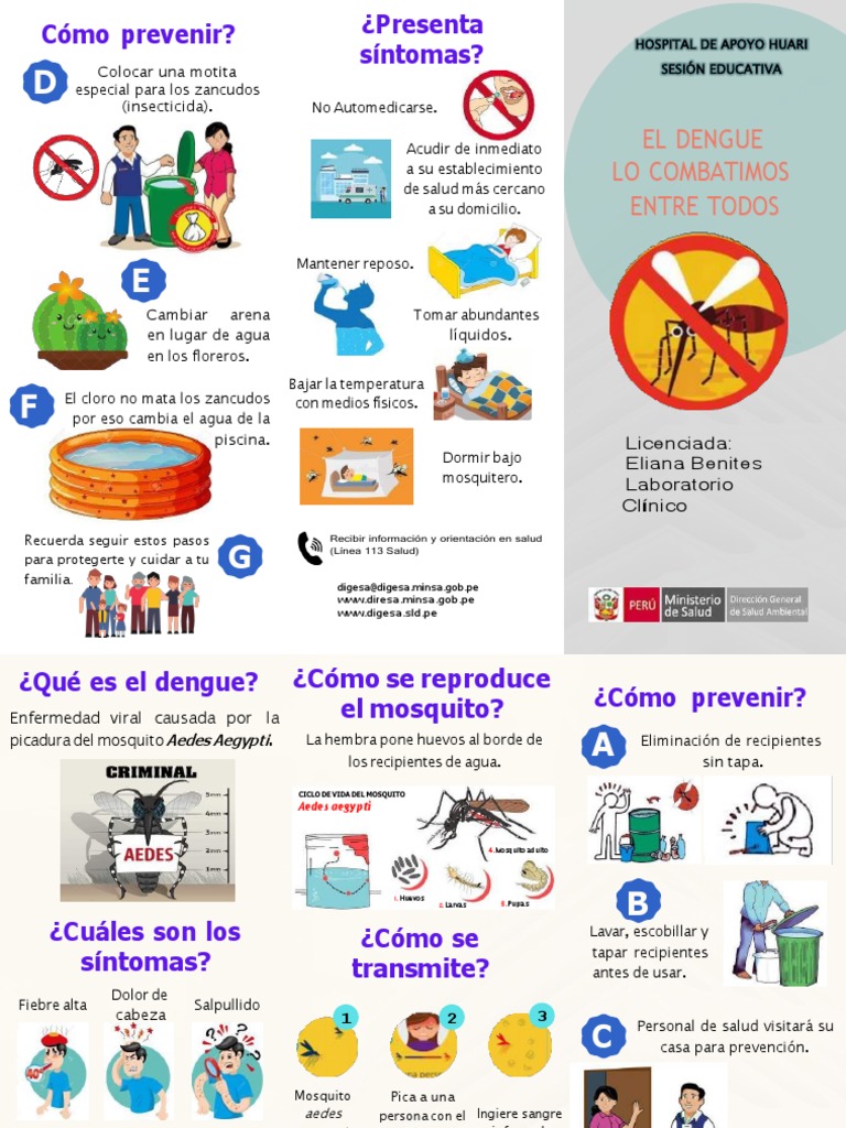TRIPTICO DENGUE | PDF | Mosquito | Medicina