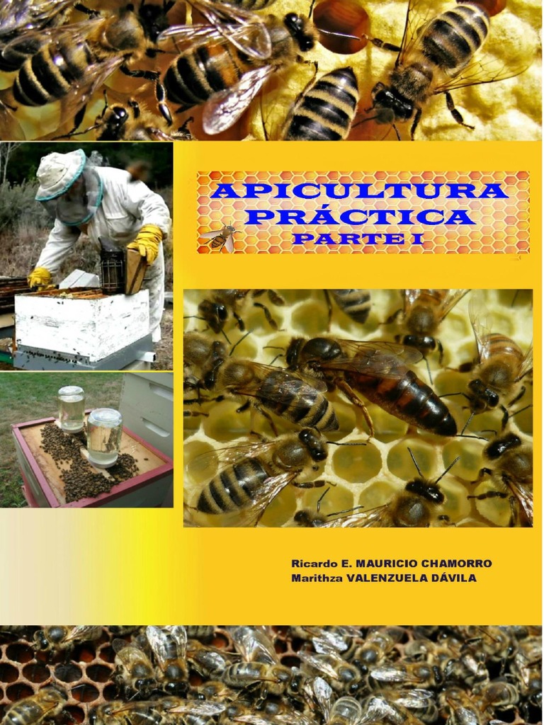 Manual de Apicultura 2022 Tomo I | PDF