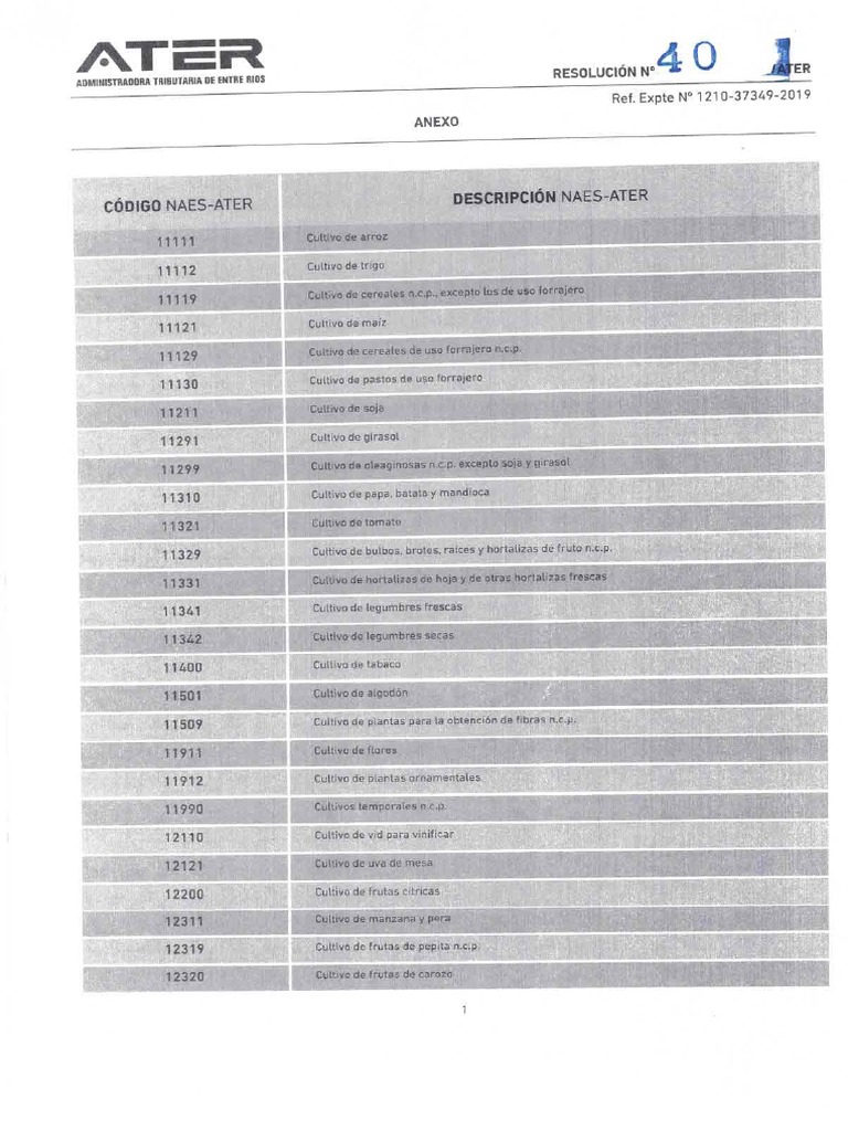 Anexo Resolucion 40 Ater Diu | PDF Anexo Resolucion 40 Ater Diu | PDF
