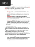 La Hélade: Territorio y Cultura Griega | PDF | Antigua Grecia ...