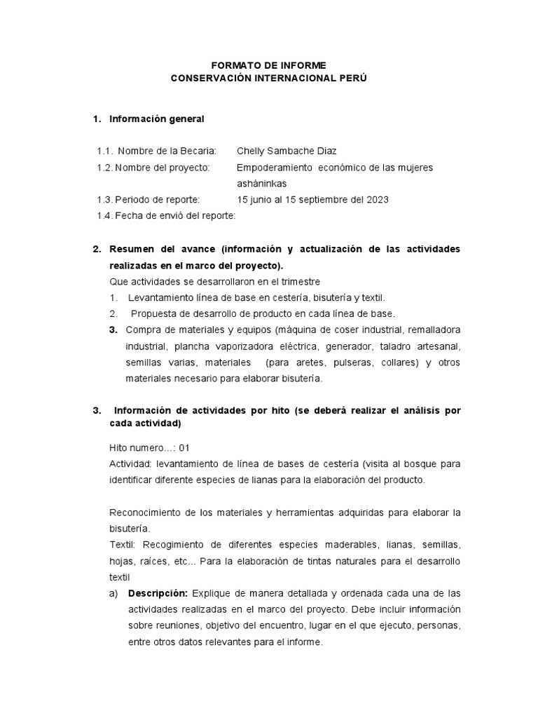 Formato de Informe | PDF