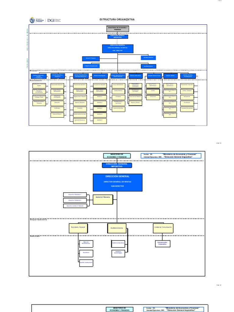 Organigrama DGI | PDF | Auditoría | Impuestos