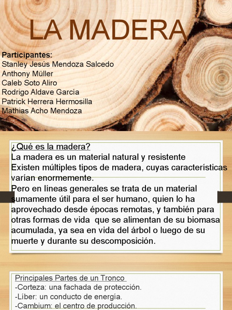 Exposicion Lenguaje - Con Las Conclusiones de ANTHONY | PDF | Madera | Energía renovable