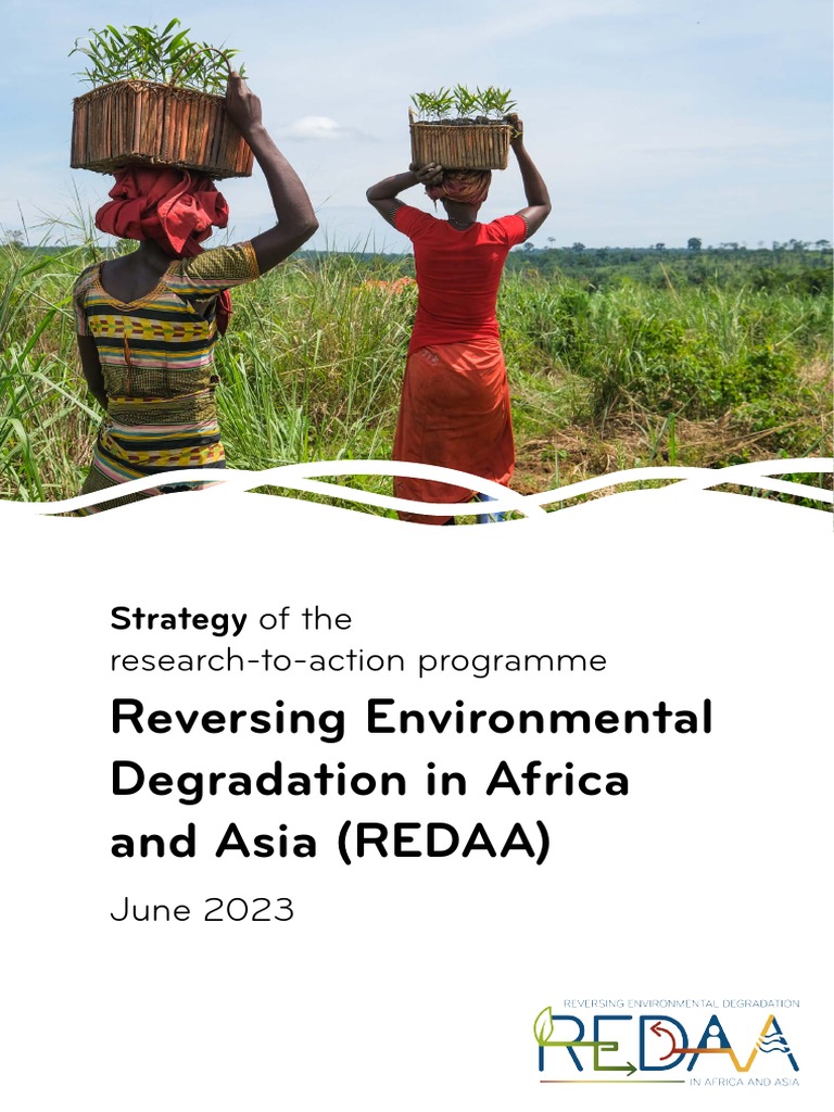REDAA Strategy - June 2023 | PDF