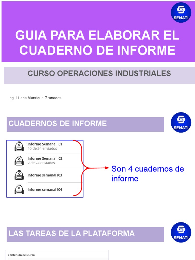Guia para Elaborar El Cuaderno de Informe | PDF