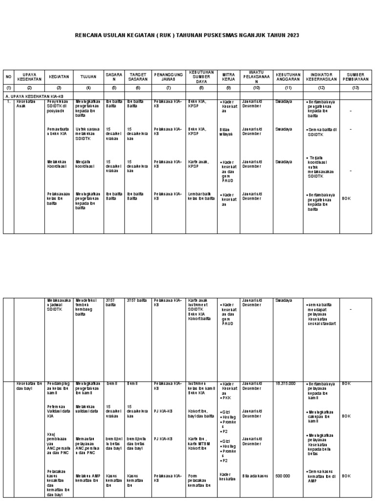 Rencana Usulan Kegiatan (Ruk) Program Kia | PDF