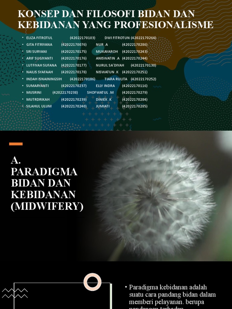 Kelompok 2 Konsep Dan Filosofi Bidan Dan Kebidanan Yang Profesionalisme ...
