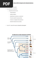 Clase#2 Dotación Cromosomica. | PDF | Cromosoma | Biología Celular)