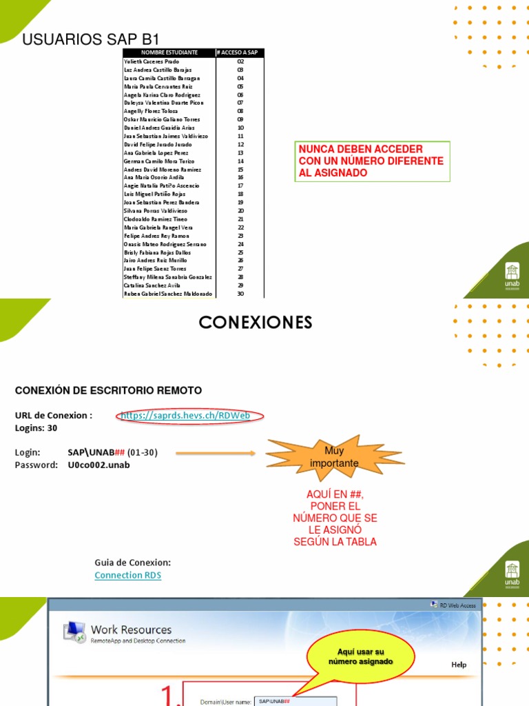 Guía de Acceso A SAPB1 CORREGIDA | PDF | Control de acceso a la computadora