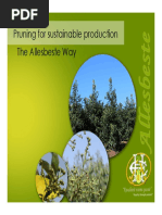 Hass Avocado Farming Guide PDF | PDF | Grafting | Avocado