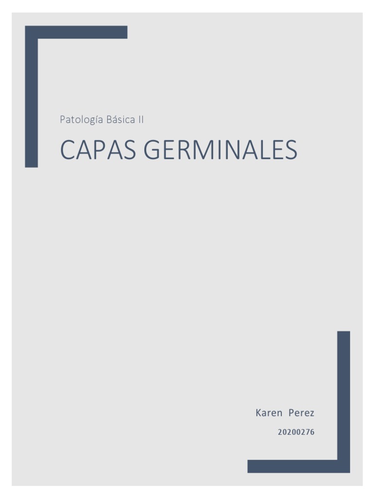 Capas Germinales | PDF