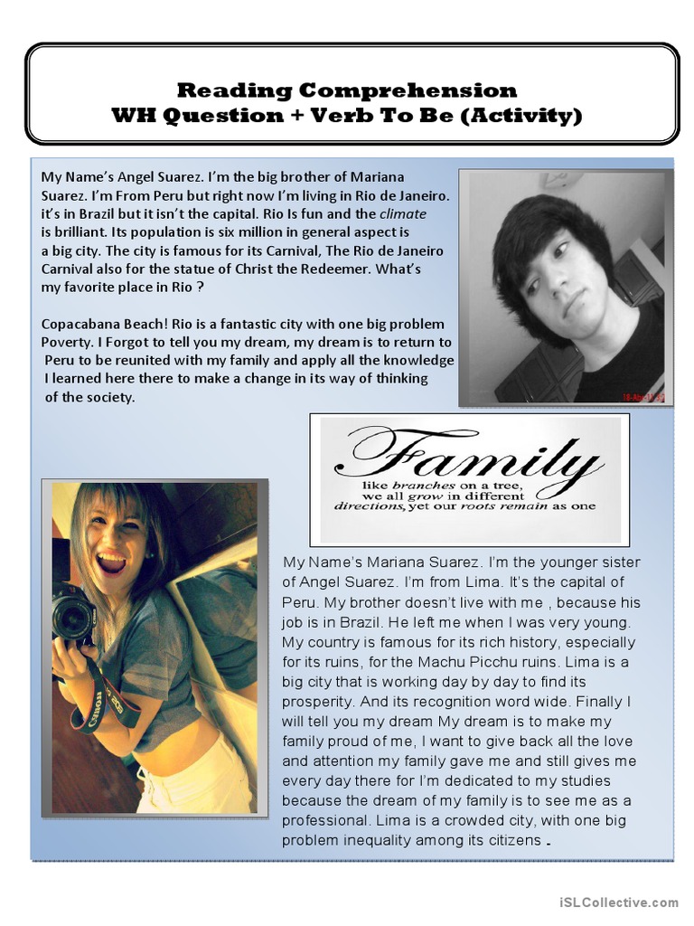 Verb To Be Reading Activity | PDF