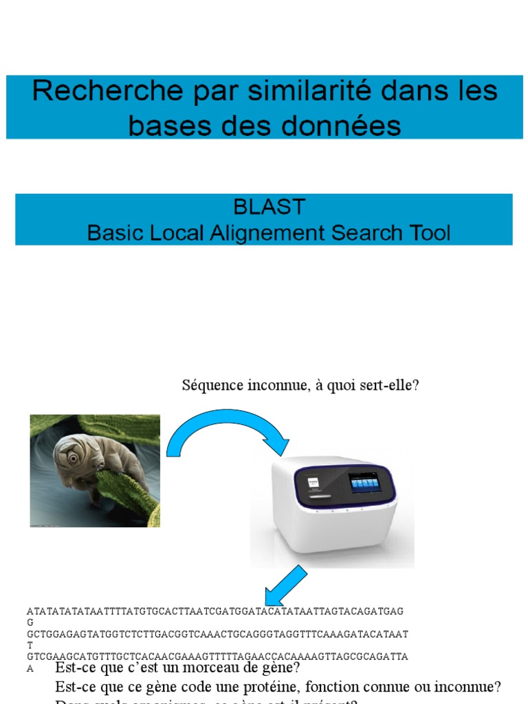 Cours L2 Blast Poly | PDF