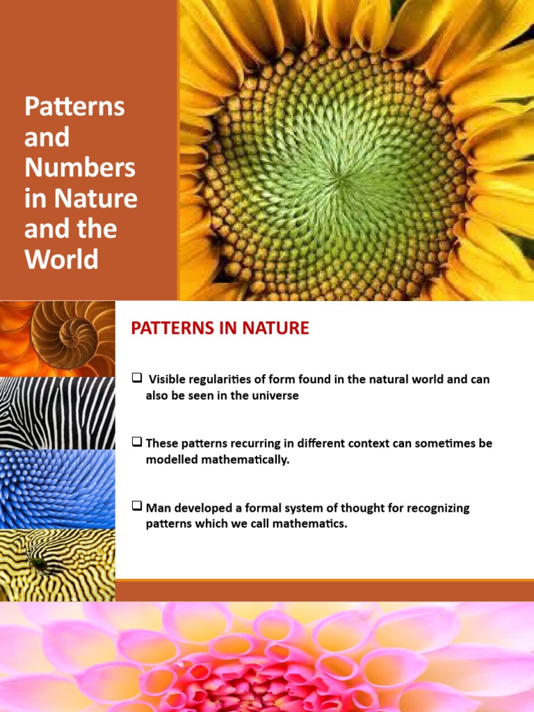 Lesson 1.1 Patterns and Numbers in Nature and The World (Autosaved) | PDF