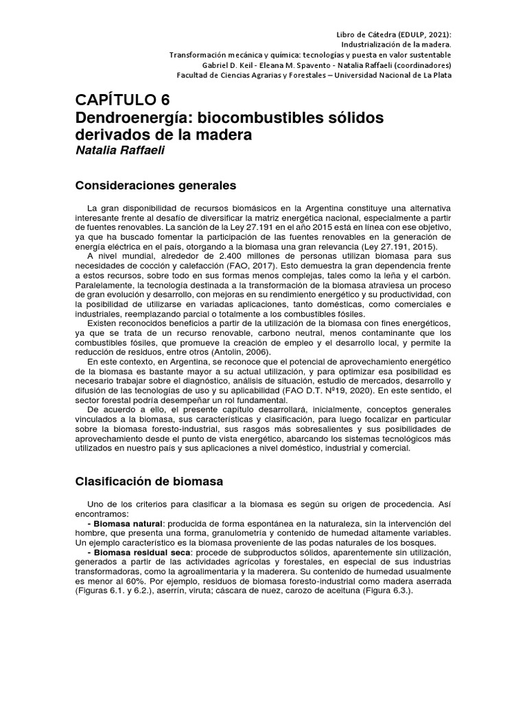 Dendroenergía - Biocombustibles Sólidos Derivados de La Madera | PDF