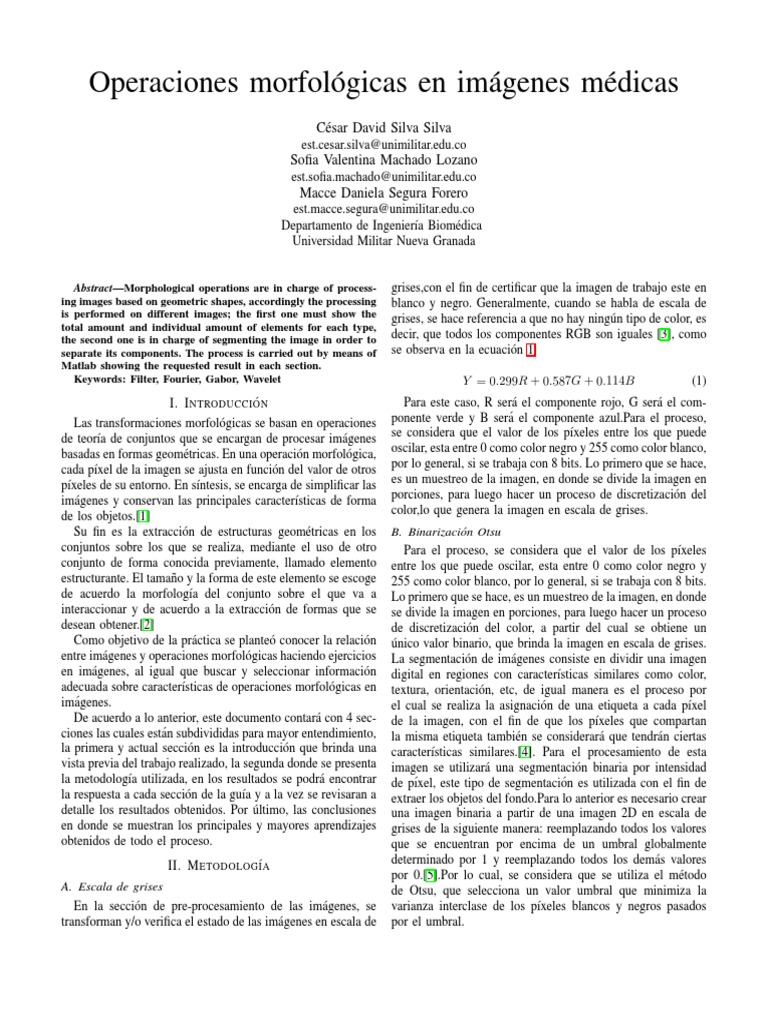 Operaciones Morfologicas en Imagenes Medicas | PDF