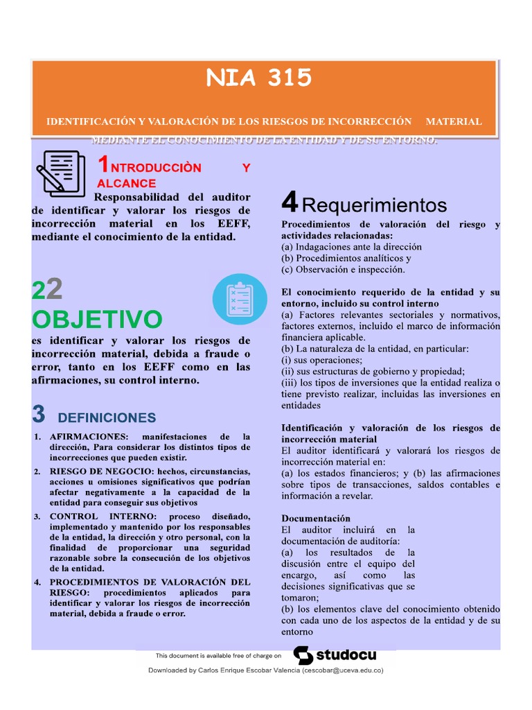 Infografias NIA 315 | PDF