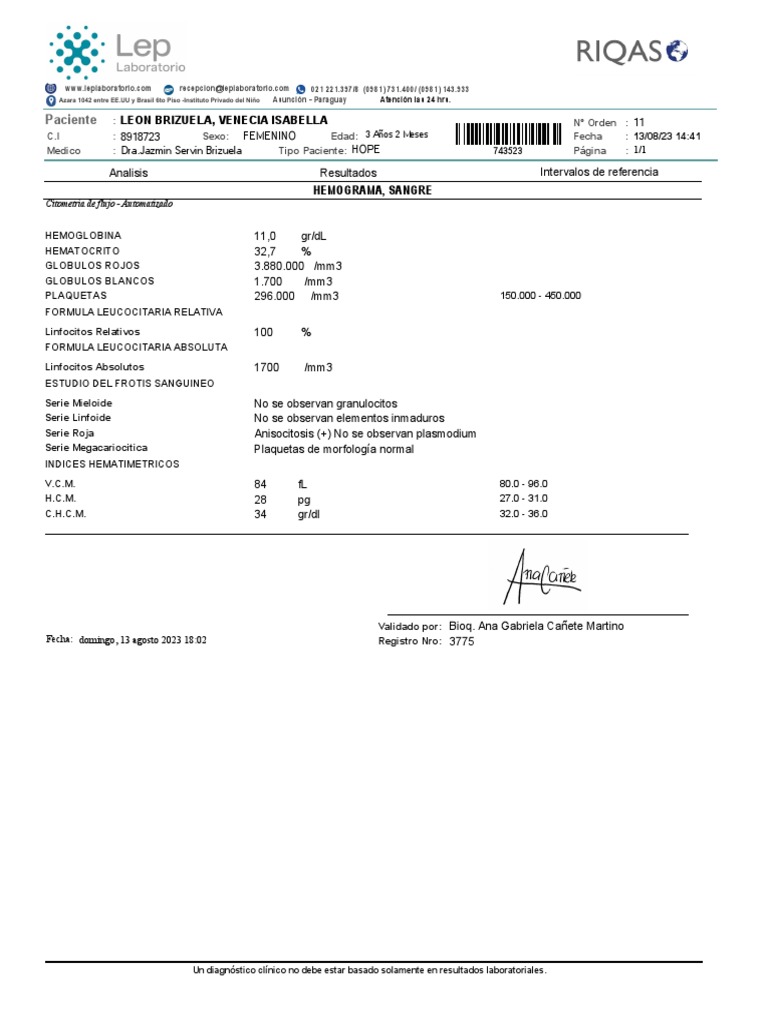 Leon Brizuela Venecia Isabella - 743523 - 22 | PDF | Sangre ...