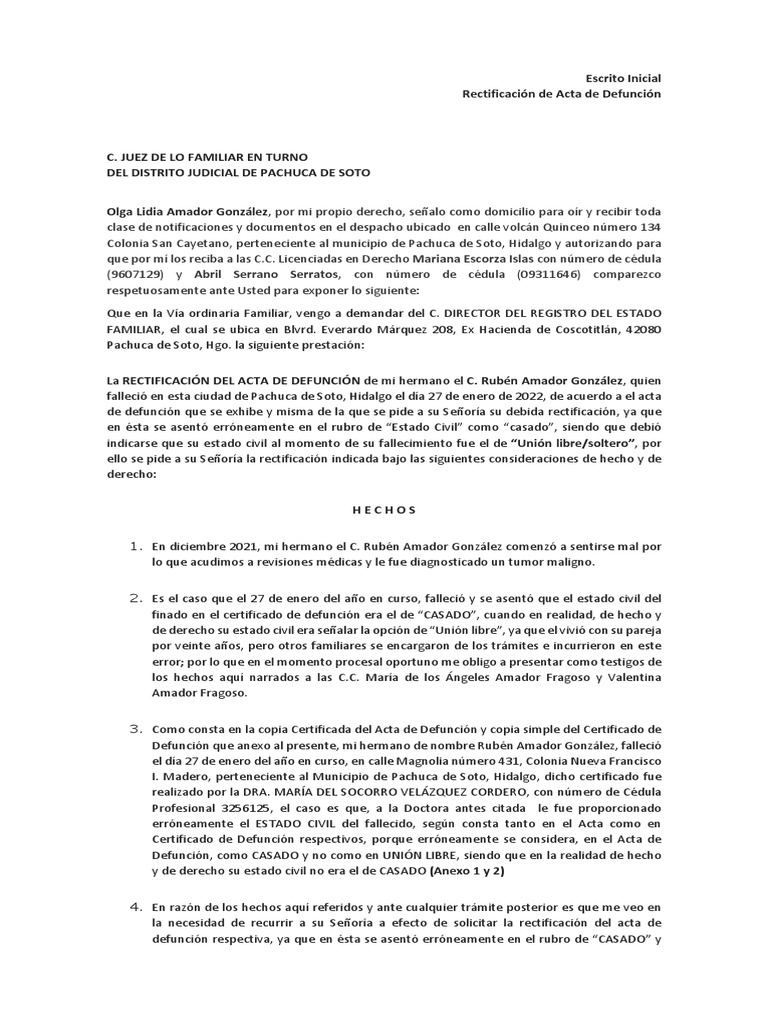 Escrito Corrección de acta | PDF | Justicia | Crimen y violencia
