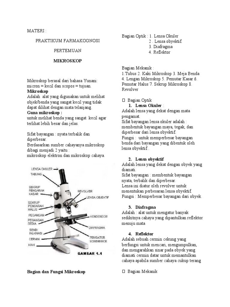 Teori Mikroskop | PDF