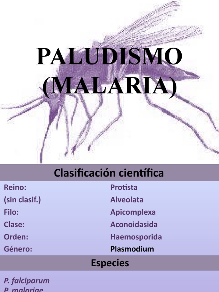 Paludismo (Malaria) | PDF | Plasmodium Falciparum | Malaria