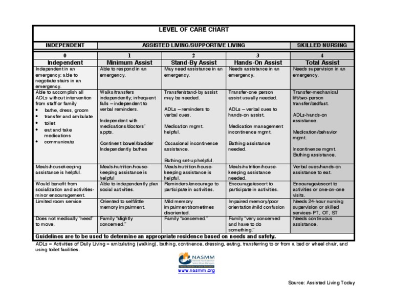 Level of Care Chart for Seniors | PDF