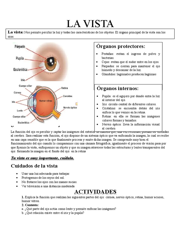 Ficha de Tercero | PDF | Ojo | Percepción visual