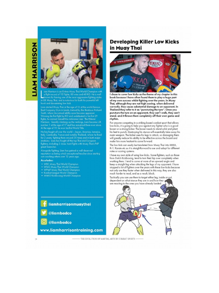 Lowkick Liam Harrison | PDF
