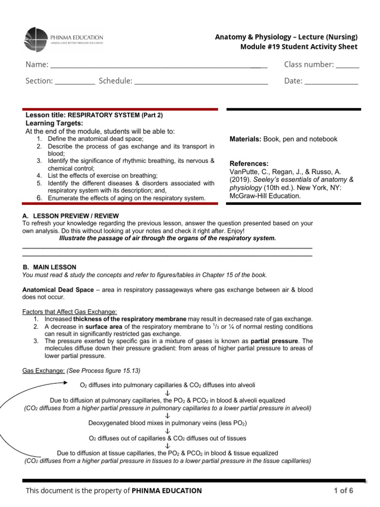 Nursing Anaphy Lec Session #19 - Sas (New Format) | PDF