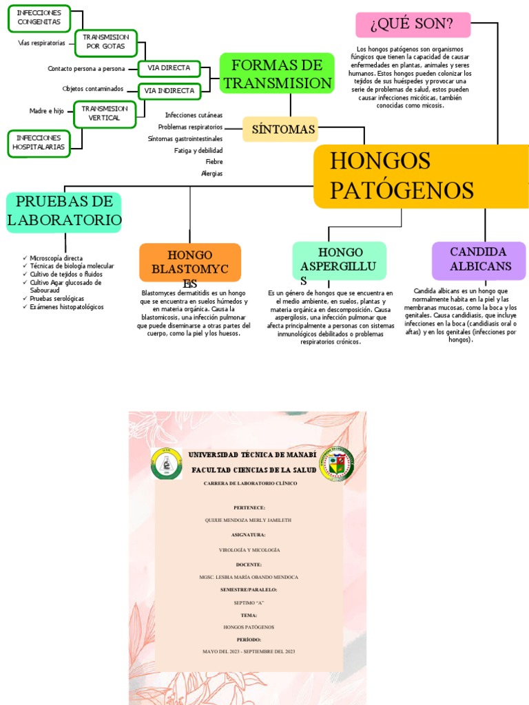 Virologia Mapa Conceptual Hongos | PDF