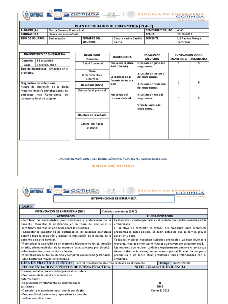 Place Diada Fetal | PDF | El embarazo | Parto