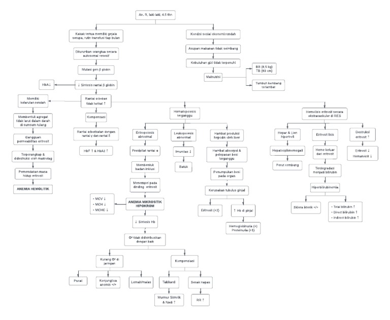 Patof Thalassemia | PDF