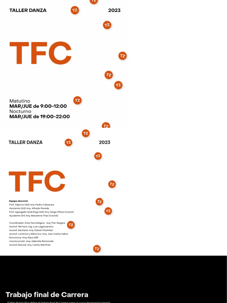 BRIEF TFC 20230307 - B | PDF | Business | Realidad