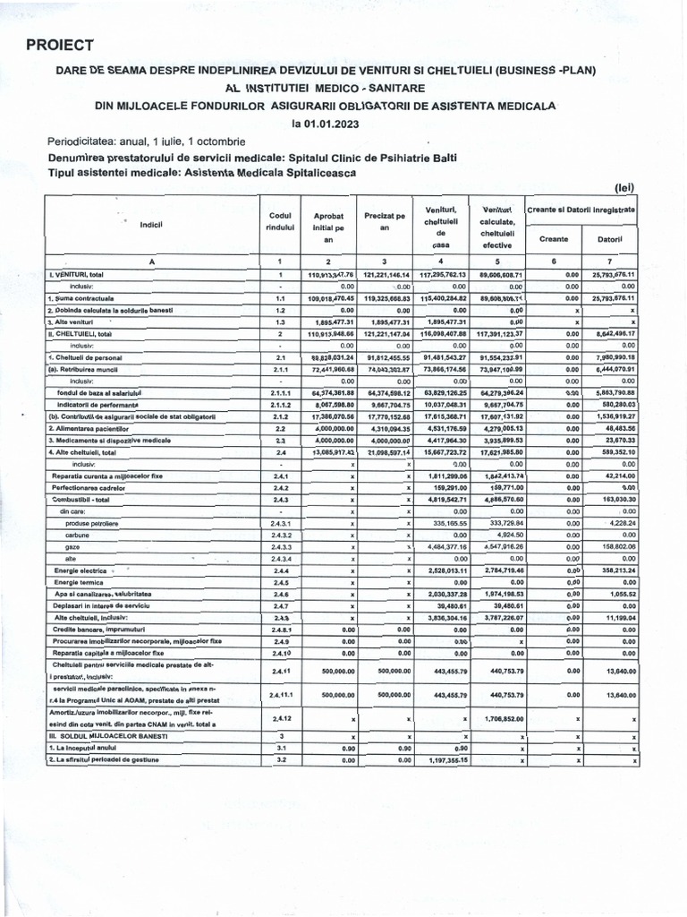 Business Plan IMSP SP Balti (Proiect Anul 2023) | PDF