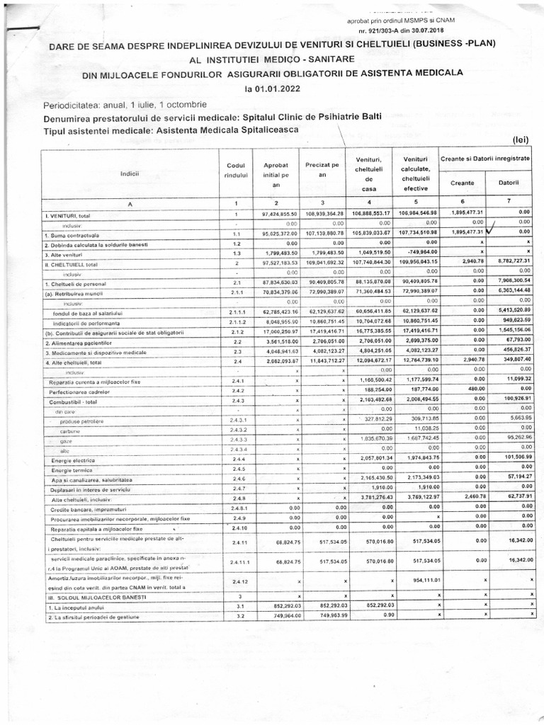 darea de seama 2021 | PDF