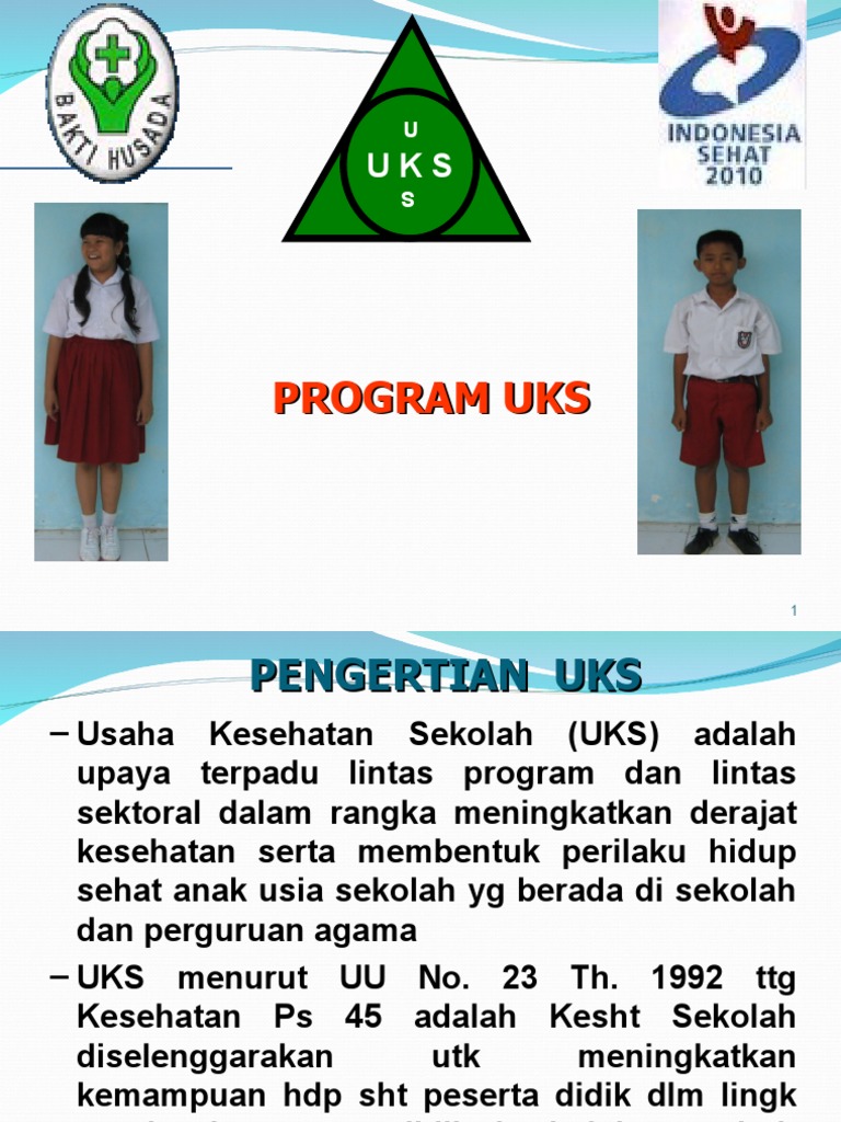 Materi Program UKS | PDF