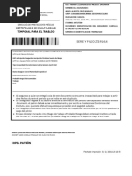 Formato Incapacidad Imss Editable Word | PDF