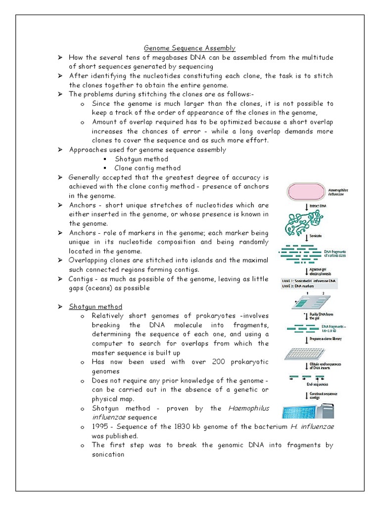Clone Contig Method in DNA Assembly | PDF | Dna Sequencing | Molecular ...