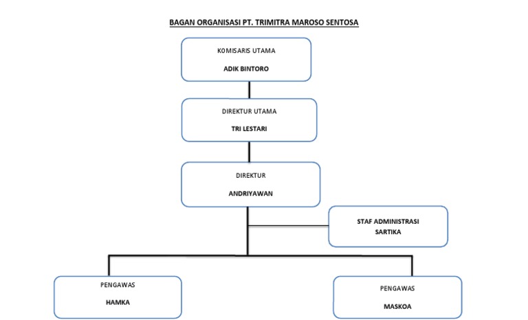 Bagan Organisasi Pt. | PDF