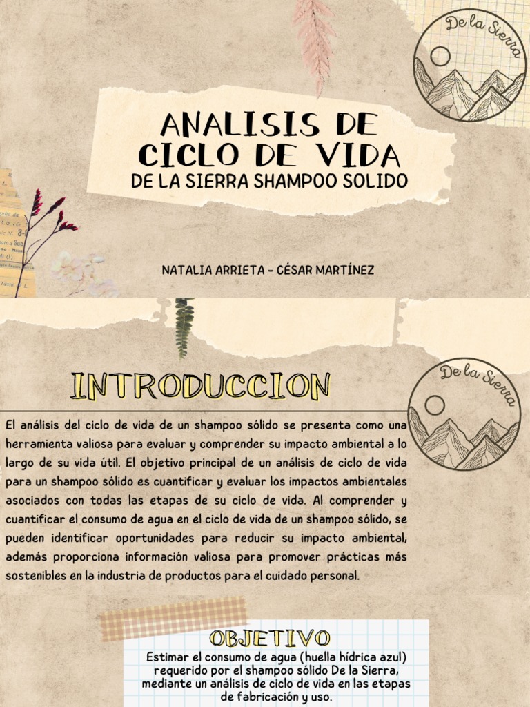 Analisis De Ciclo De Vida Pdf